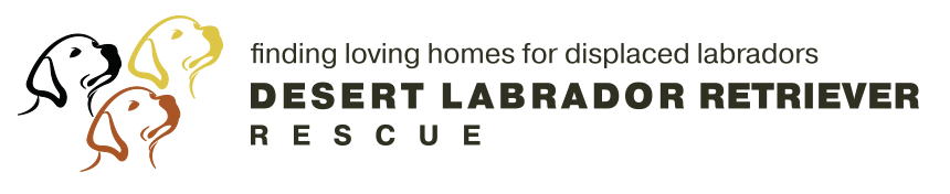 Desert Labrador Retriever Rescue - Log In